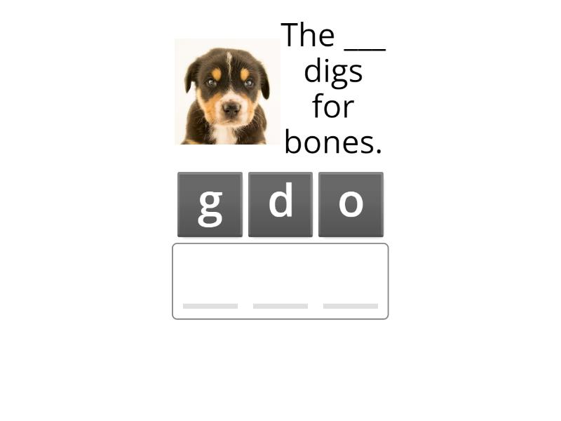  og Word Family With Sentences Anagram