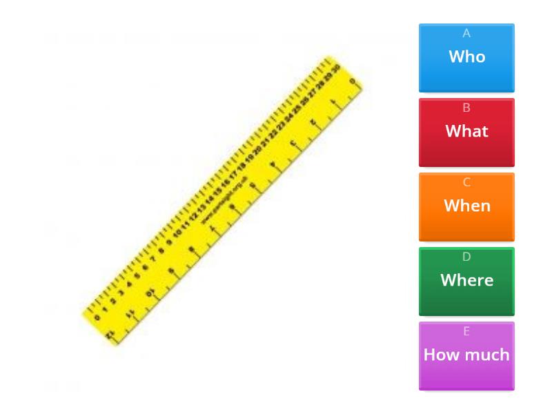 ESL50 who/what/when/where/how much - Quiz