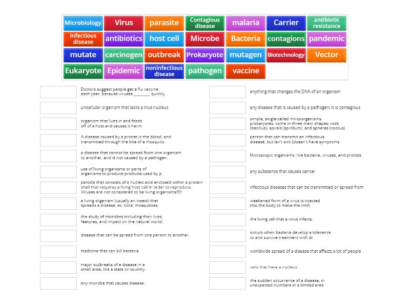 Haashini: microbiology vocabulary review - Match up