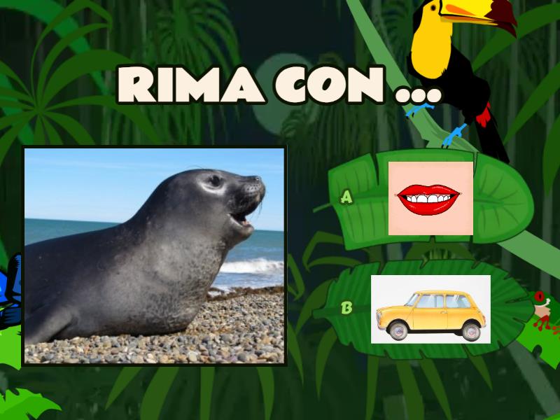 RIMAS - BEGINNERS - Quiz