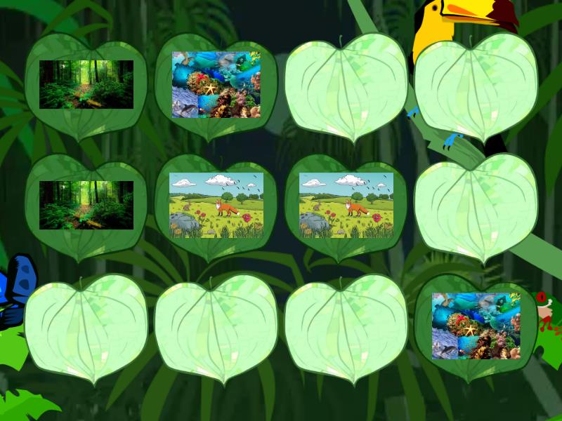 Memorama de ecosistemas - Matching pairs