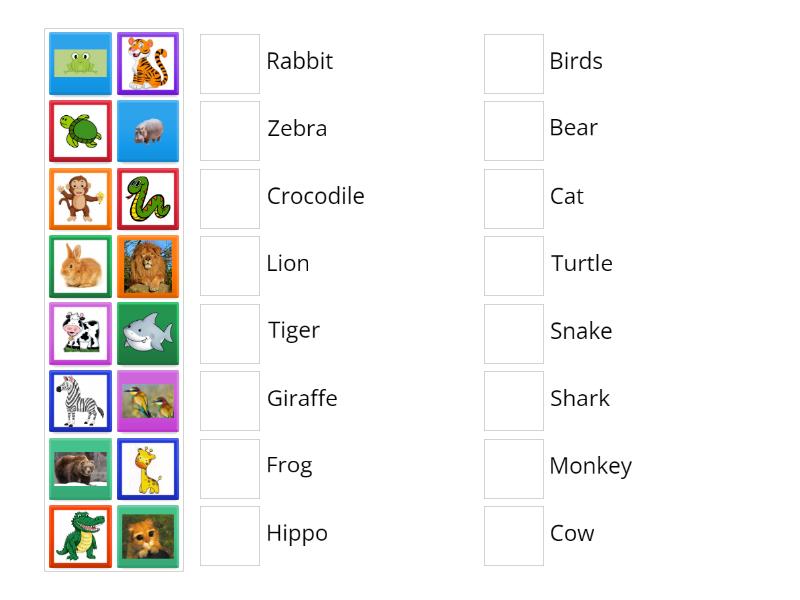 Animals - Match up