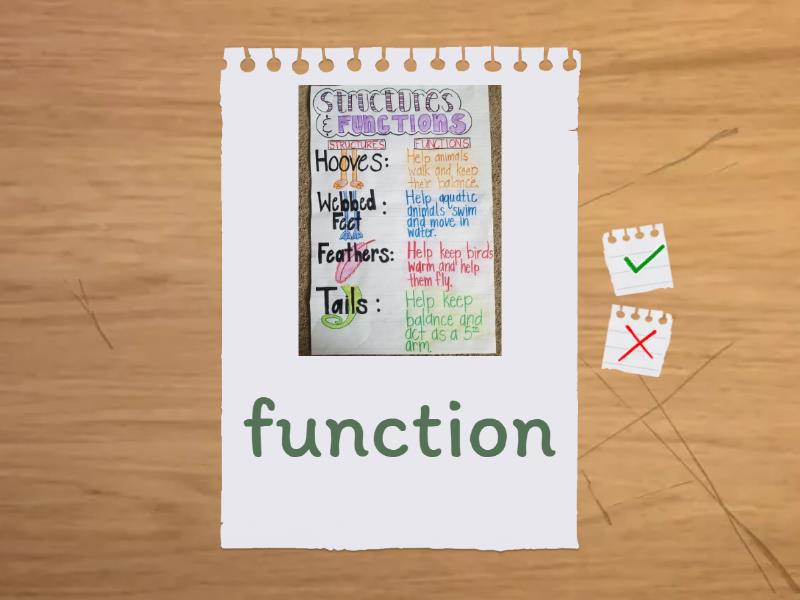 Animal Characteristics and Behaviors Vocabulary - Flash cards