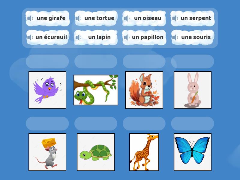 Les animaux - oral 2 + écrit - Match up