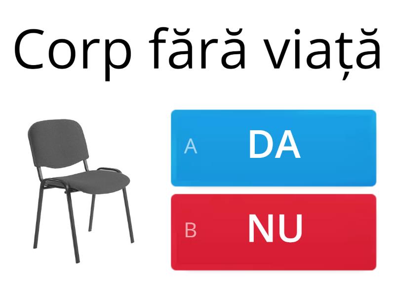 Corpuri cu viață și fără viață - Quiz