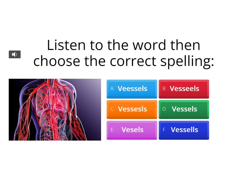 Y7 W4 Spelling List - Quiz