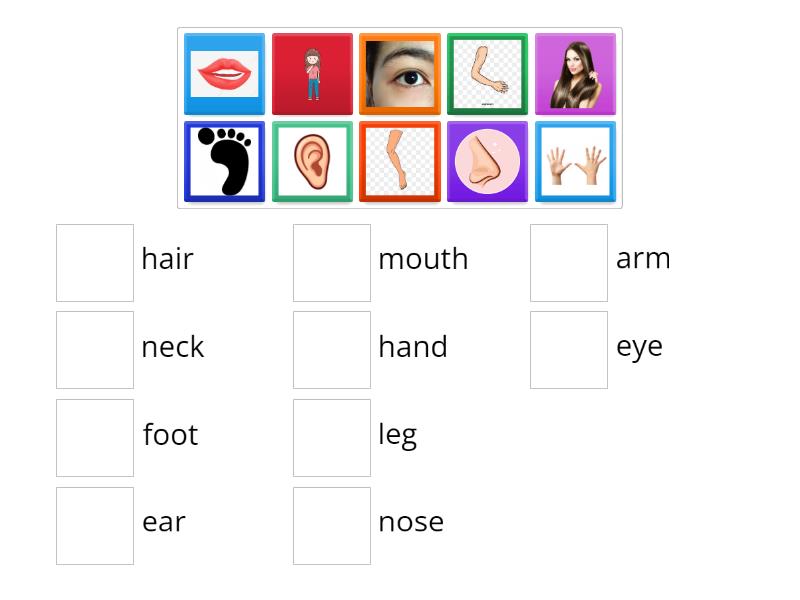 เกมจับคู่คำศัพท์ - Match up