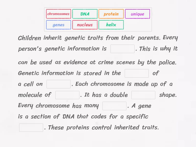 DNA, Genes and Chromosomes - Complete the sentence