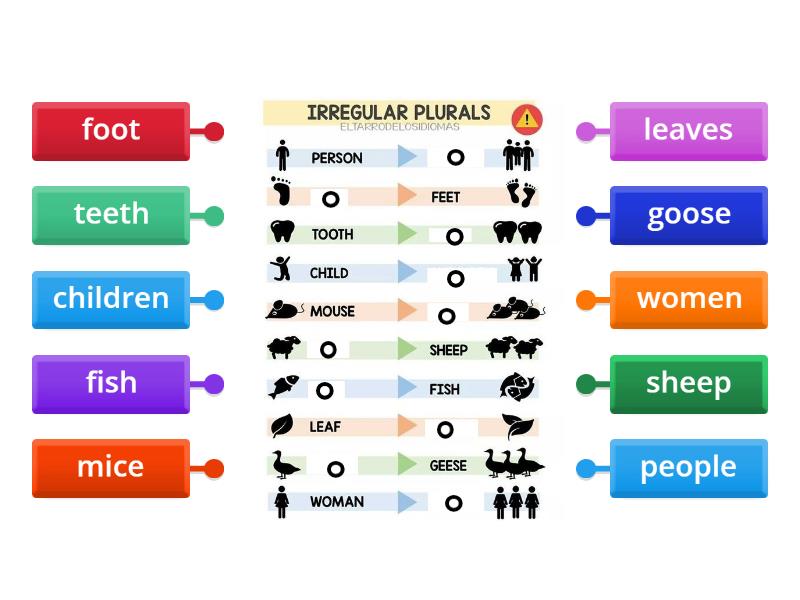 Irregular plural nouns - Diagrama con etiquetas