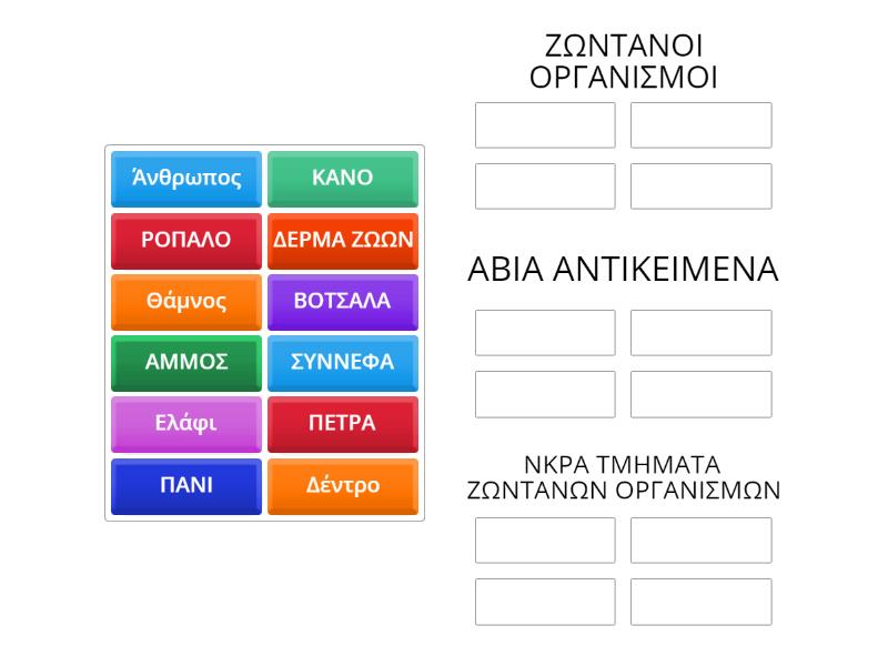 ΟΡΓΑΝΙΣΜΟΙ - Group sort