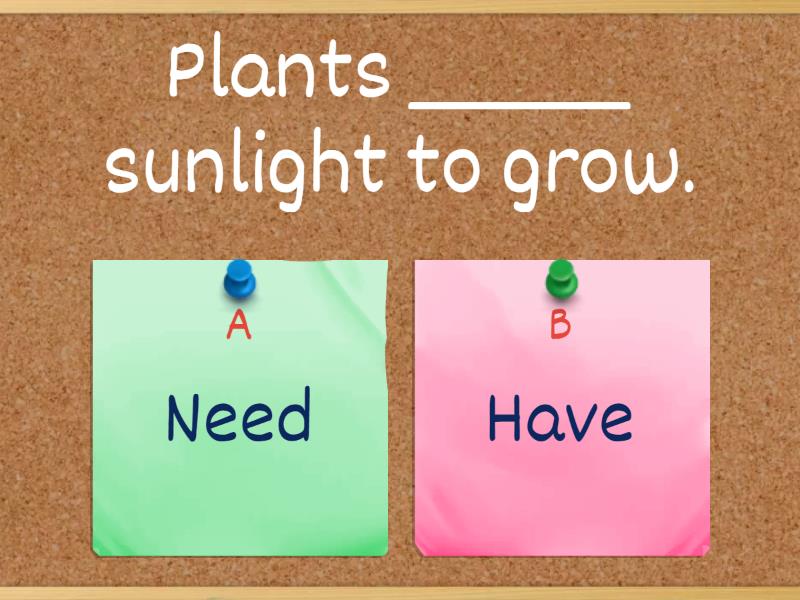 Need Vs Have - Quiz