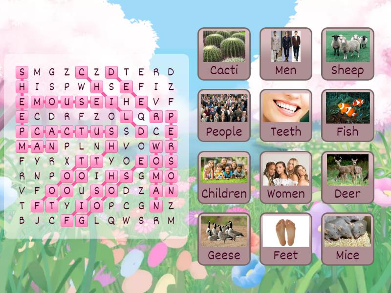 Irregular Plural Nouns Word Search - Wordsearch