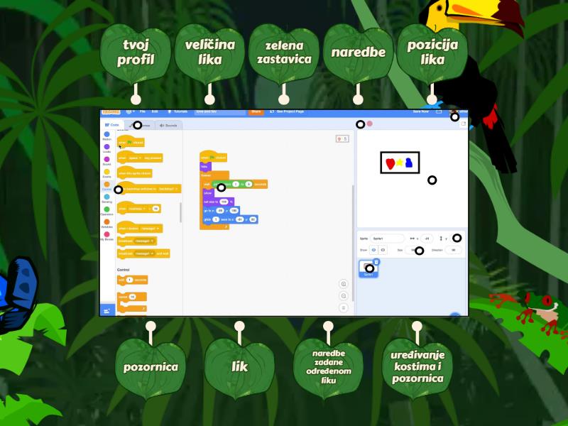 Scratch - Labelled diagram