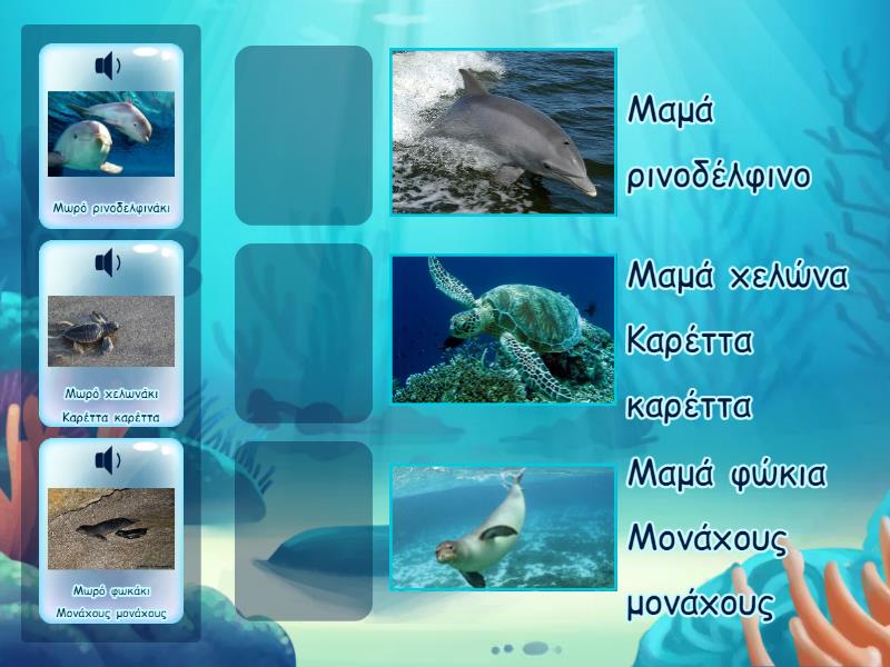 ΠΡΟΣΤΑΤΕΥΟΜΕΝΑ ΘΑΛΑΣΣΙΑ ΕΙΔΗ ΚΑΙ ΤΑ ΜΩΡΑ ΤΟΥΣ - Match up