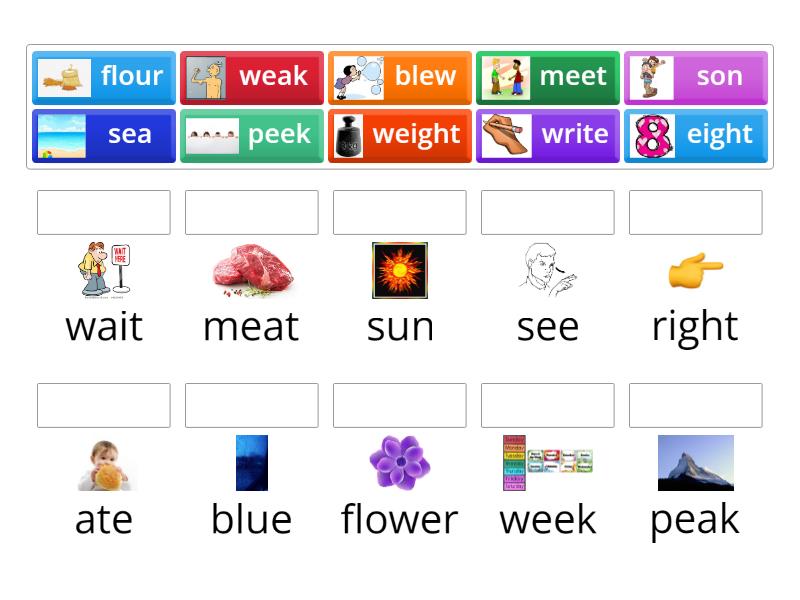Homophone Fun match - Match up