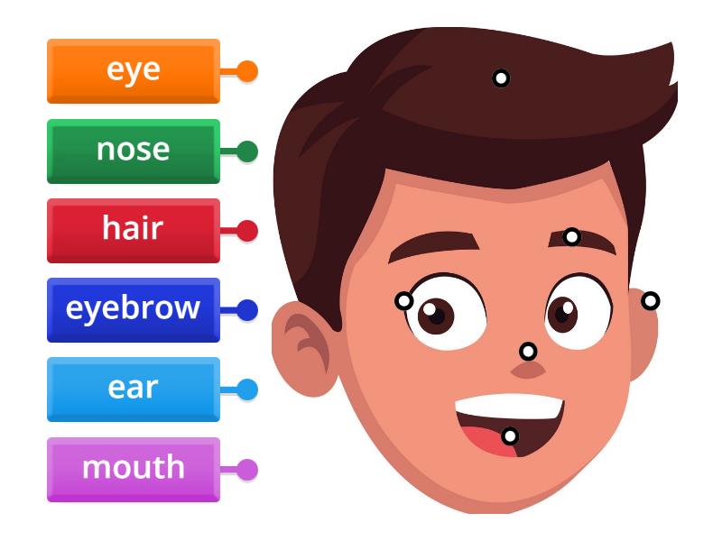 Face Matching - Labelled diagram