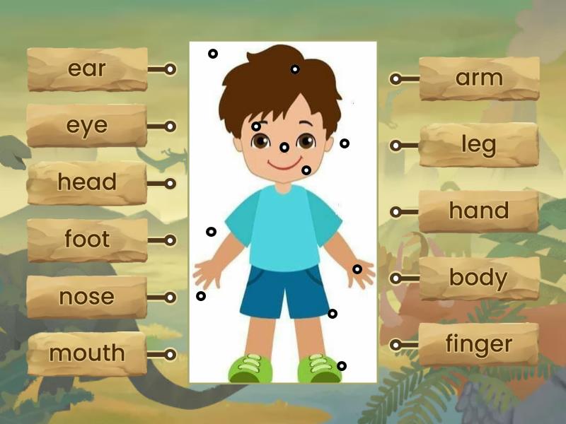 Head and Body Parts - Labelled diagram