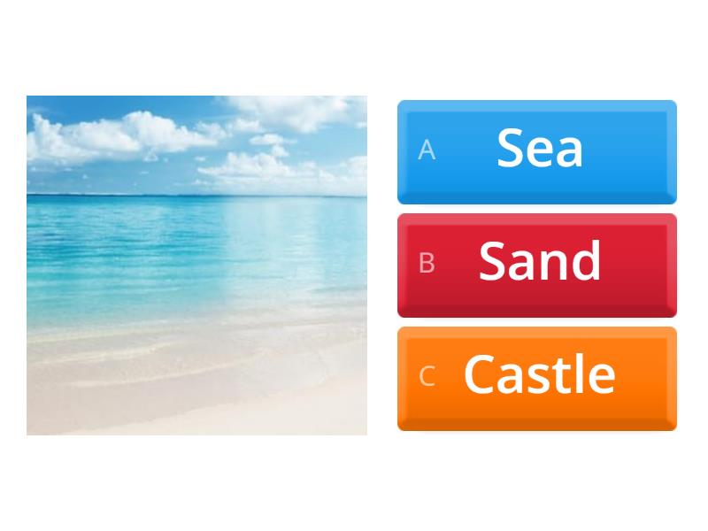 The beach - Quiz