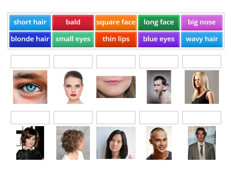 Vocabulary about Physical Appearance. - Match up