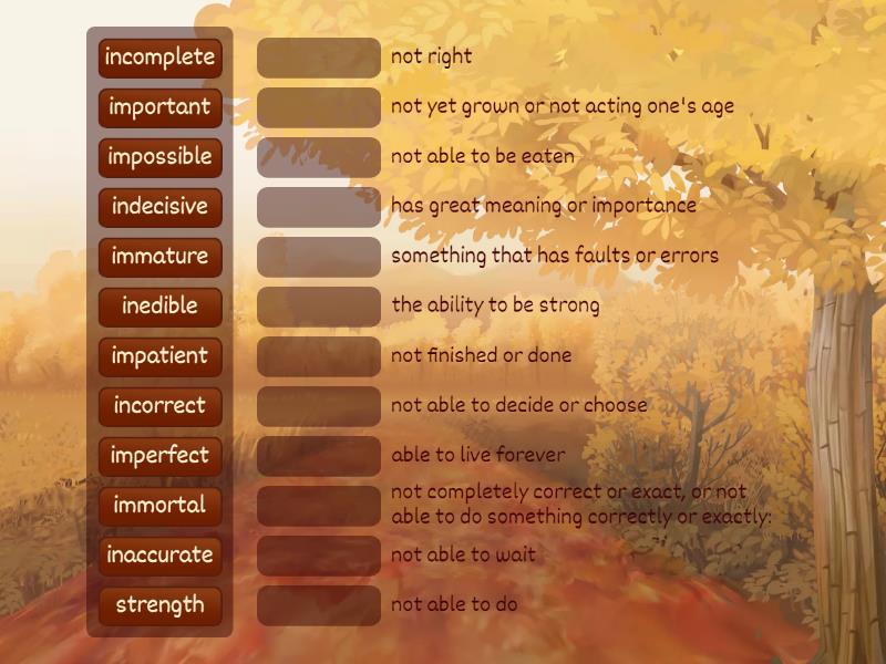 Spelling 3C: Prefixes im and in - Match up