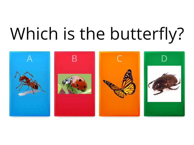 Insects () - Quiz