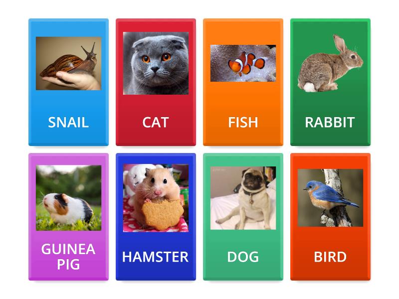 PETS - Flip tiles
