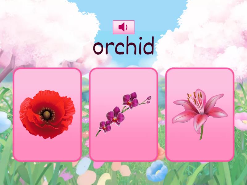 Flowers - Quiz