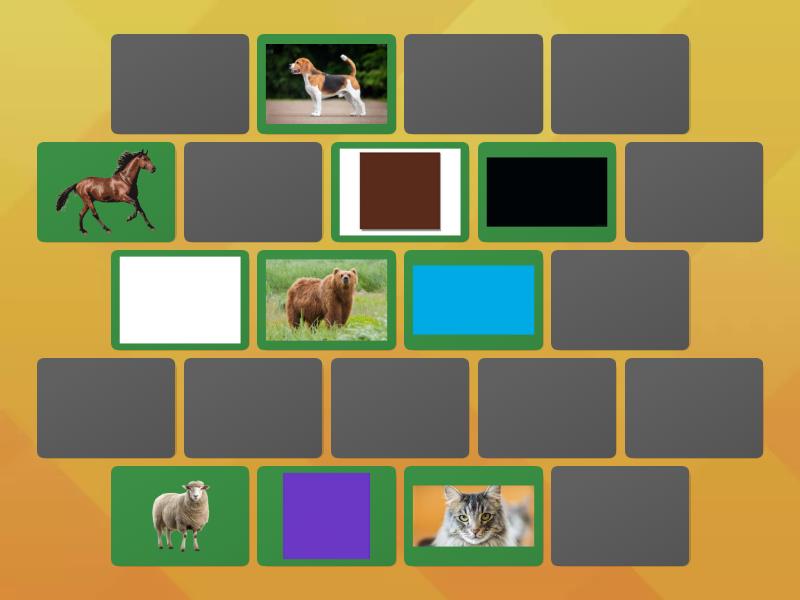 Animals and colours Brown Bear Album - Matching pairs