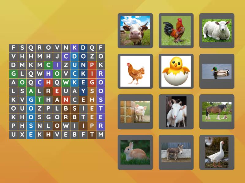 FF2 unit 13 - Wordsearch