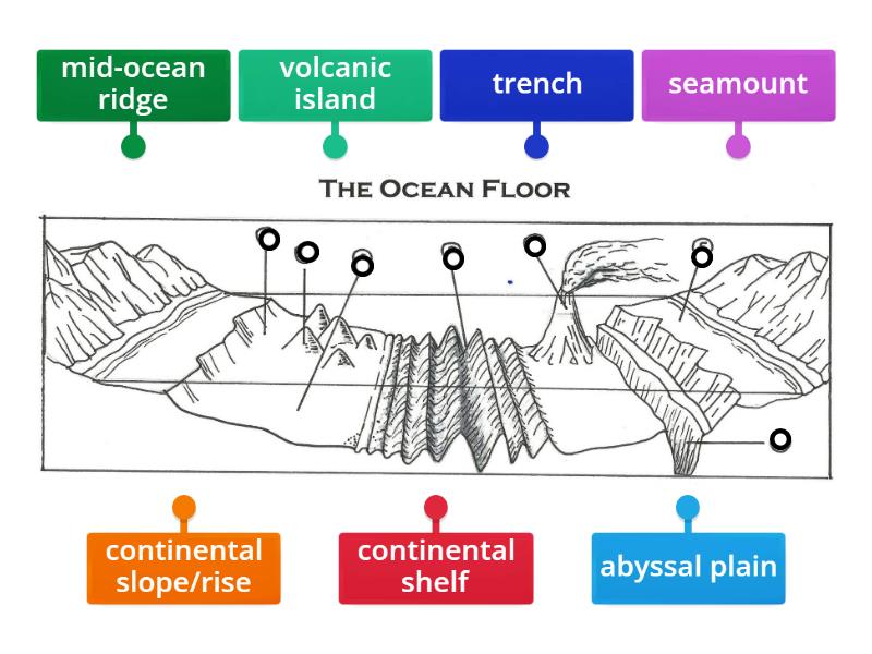 Labeling the Ocean Floor - Labelled diagram