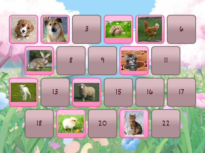Baby Animal Memory game - Matching pairs