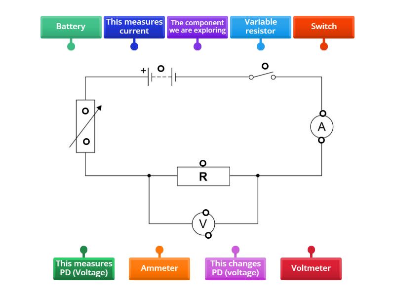 IV Practical - Labelled diagram