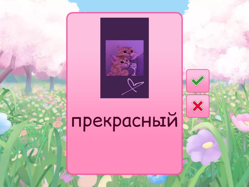 текст 41 - Flash cards