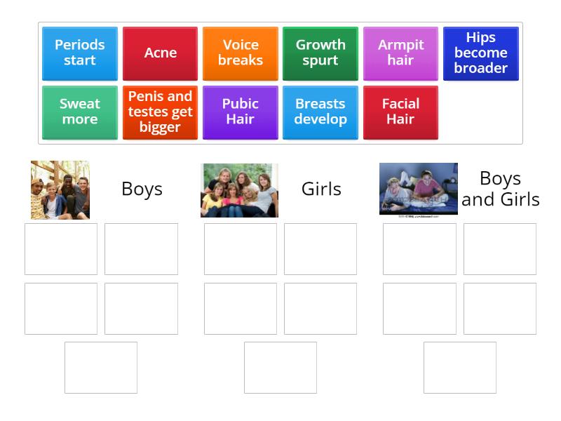 Physical changes during Puberty - Group sort