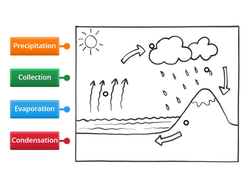 Water Cycle Diagram - Labelled diagram