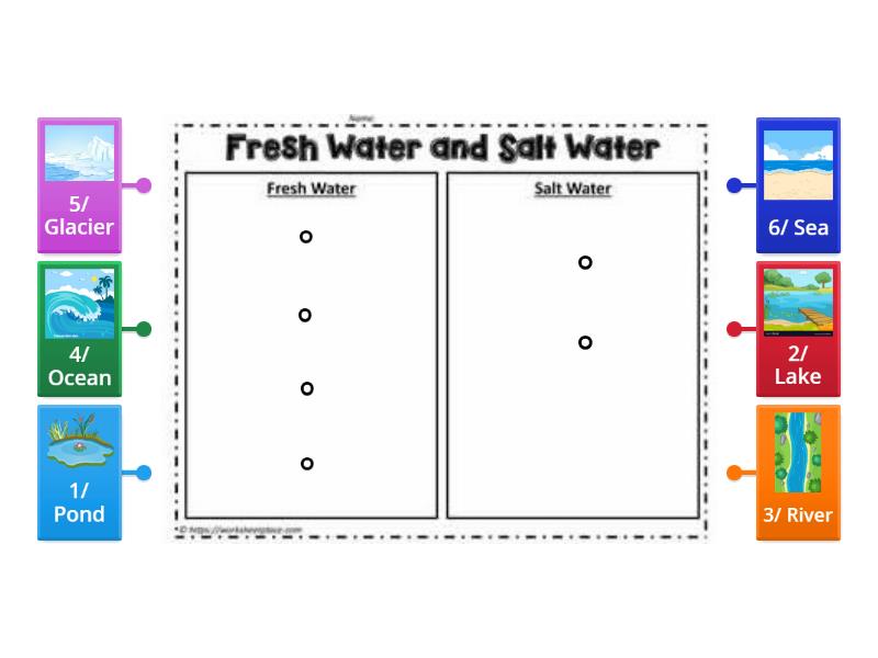 Salt vs Freshwater - Labelled diagram