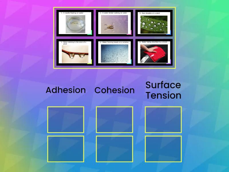 Adhesion, Cohesion, Surface Tension - Ordenar por grupo
