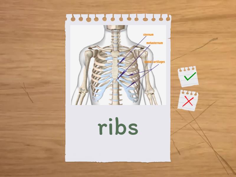 Ask your doctor - Flash cards