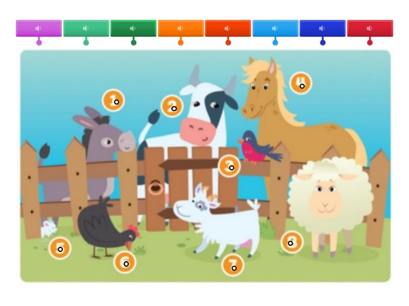 farm animals - Labelled diagram
