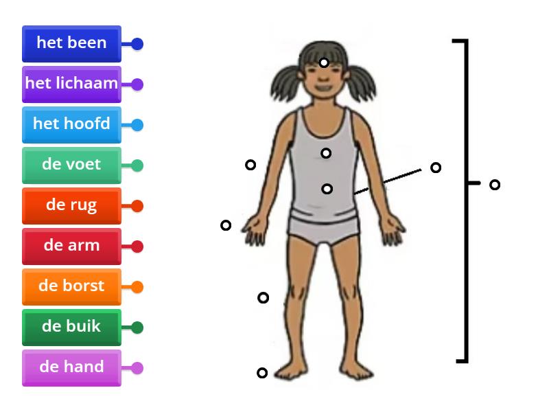 Het lichaam - Labelled diagram