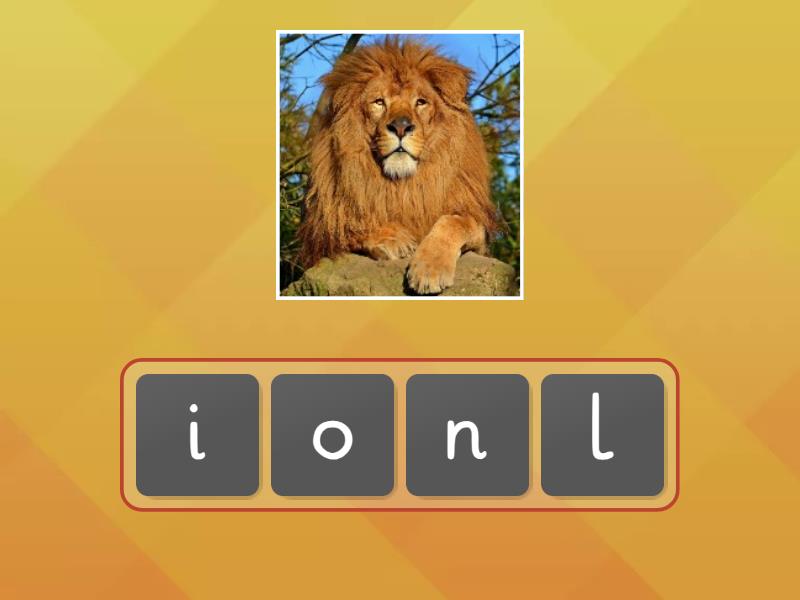 Smart junior 2 Unit 5 Animals - Anagrama