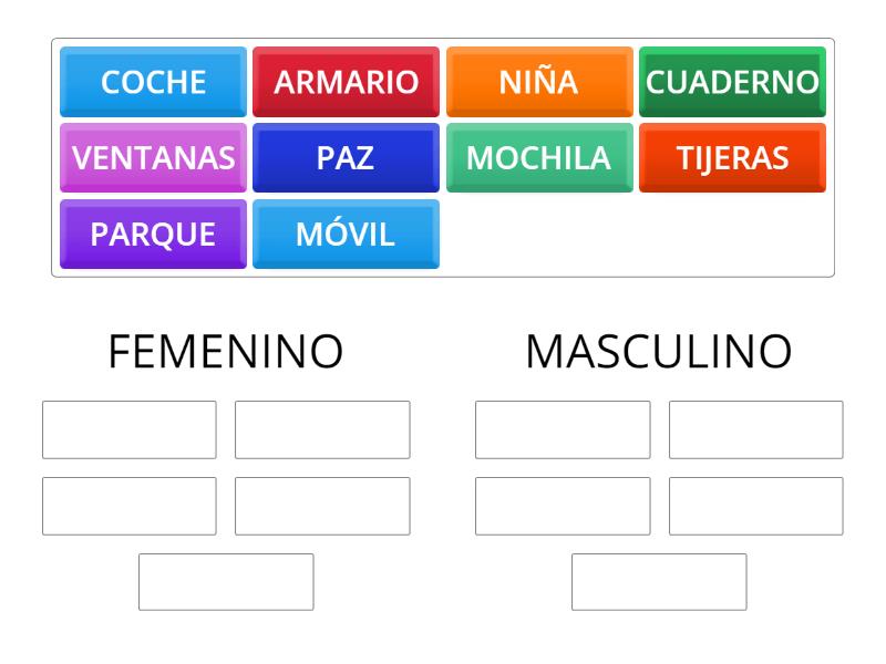 Sustantivos femeninos y masculinos - Group sort