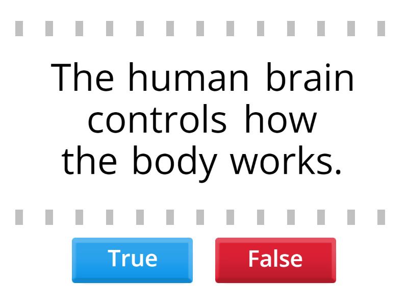 Human brain. - True or false