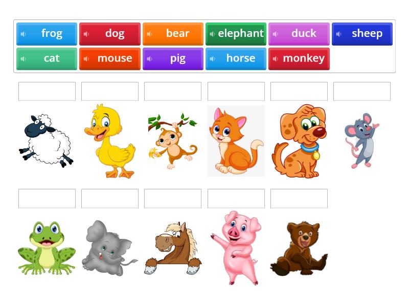 Luca - animals listening and reading matching task - Match up