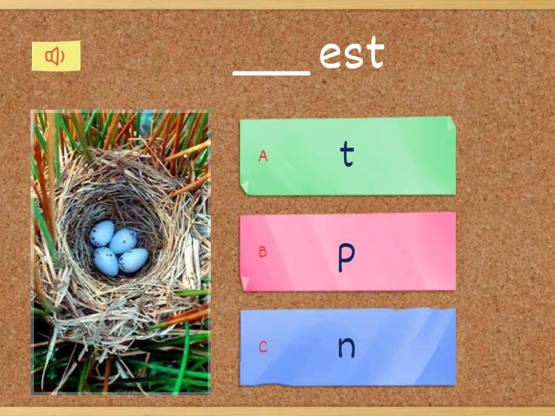 Jolly Phonics satpin - Quiz