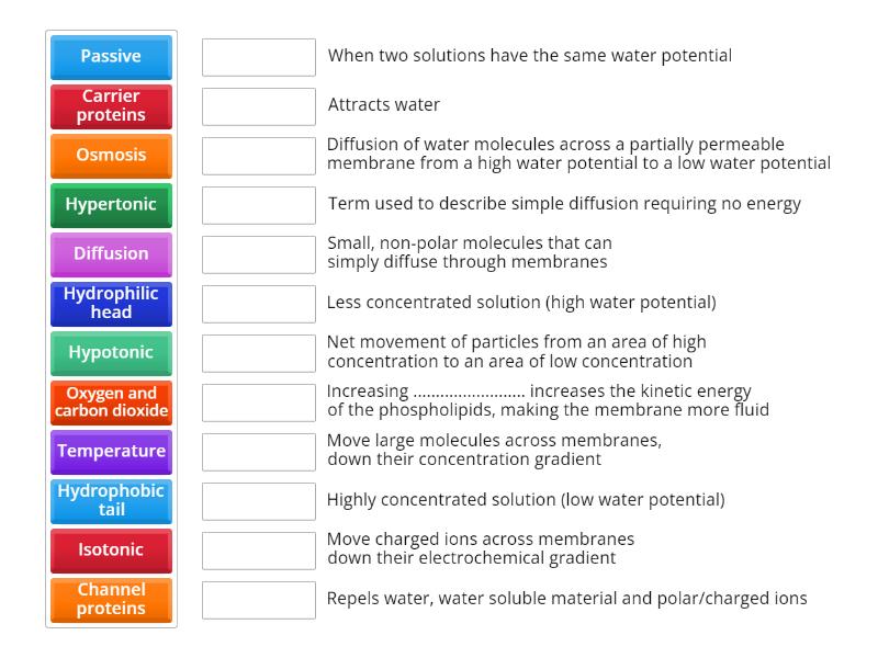 12 Bio - Diffusion and Osmosis - Match up