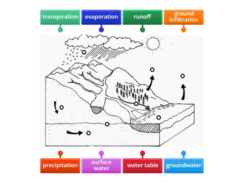 Groundwater & Surface Water Diagram - Labelled diagram