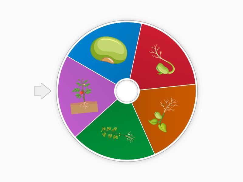 Plant roulette! - Spin the wheel