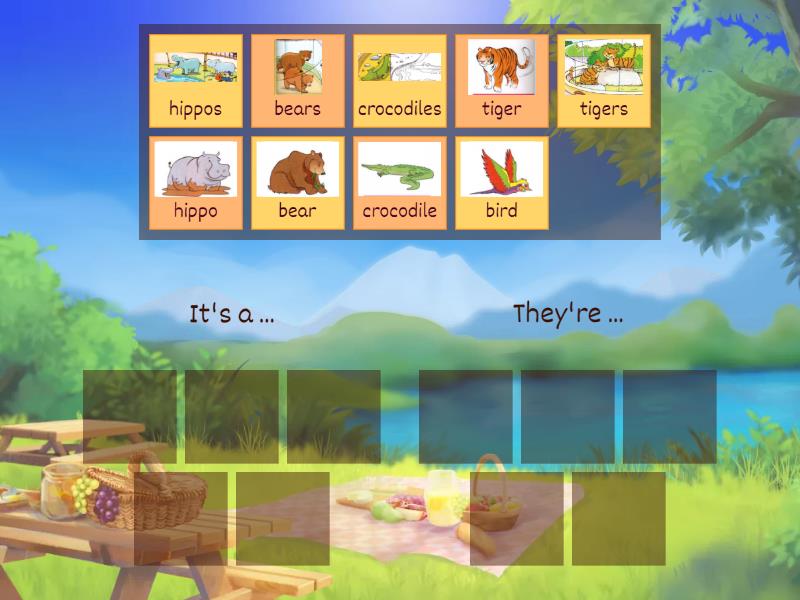 Plural Animals - Group sort