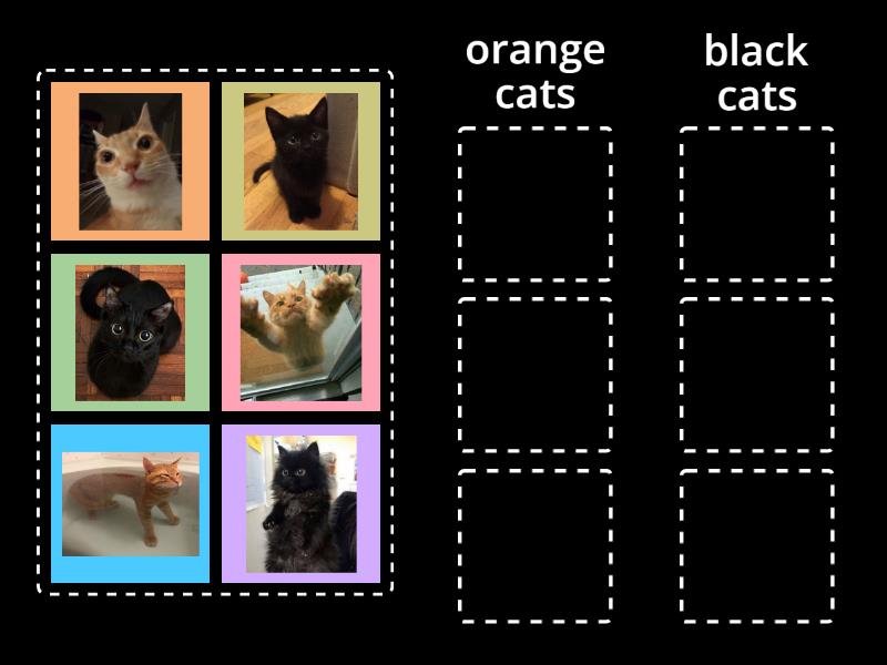 cat sort - Group sort